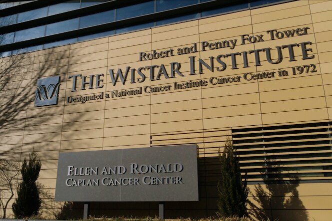 The Wistar Institute: A Client Story | Goldman Sachs