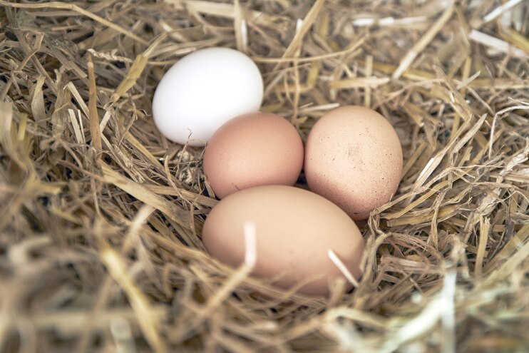 Investing Fundamentals: What is Diversification? | Goldman Sachs